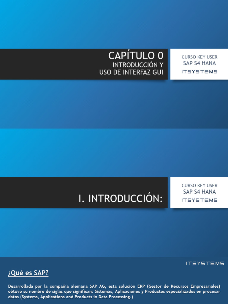 Overview SAP S4 - Uso Básico de Interfaz GUI | PDF | Tecnologías de la ...