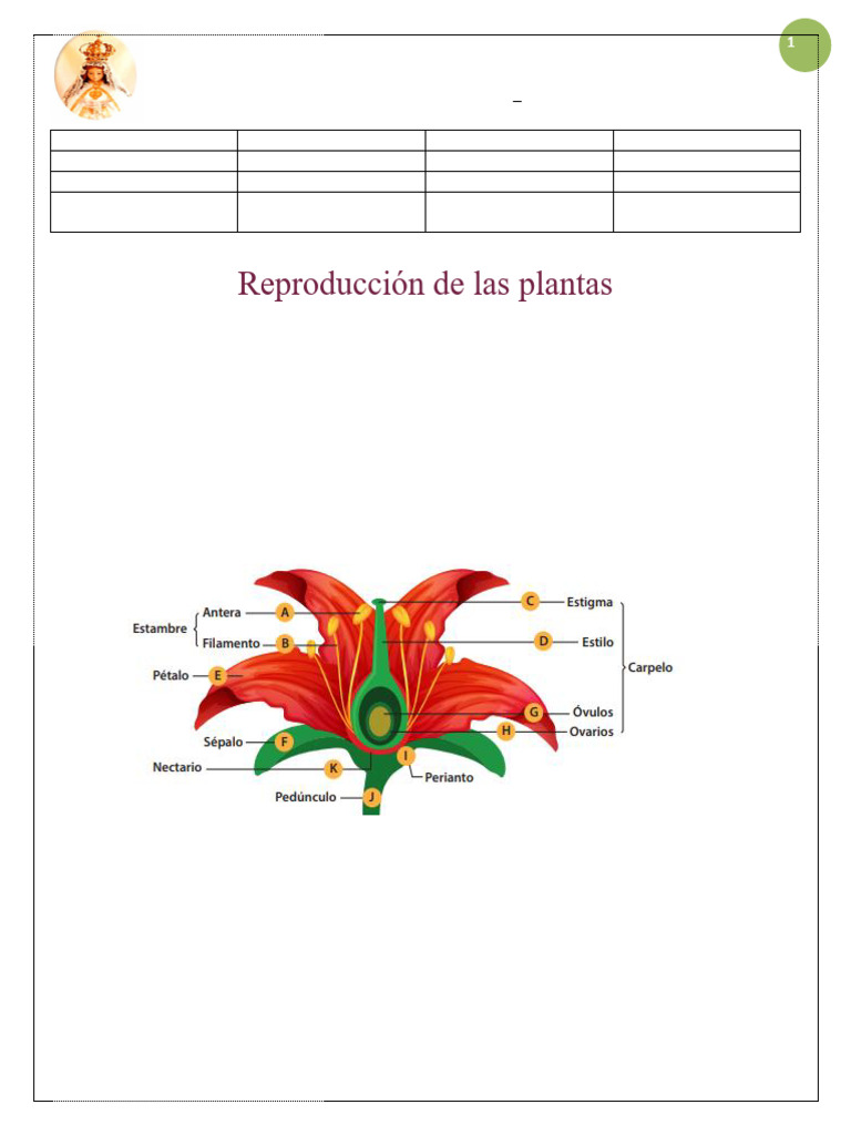 Reproducción de Plantas: Sexual y Asexual | PDF | Reproducción sexual ...