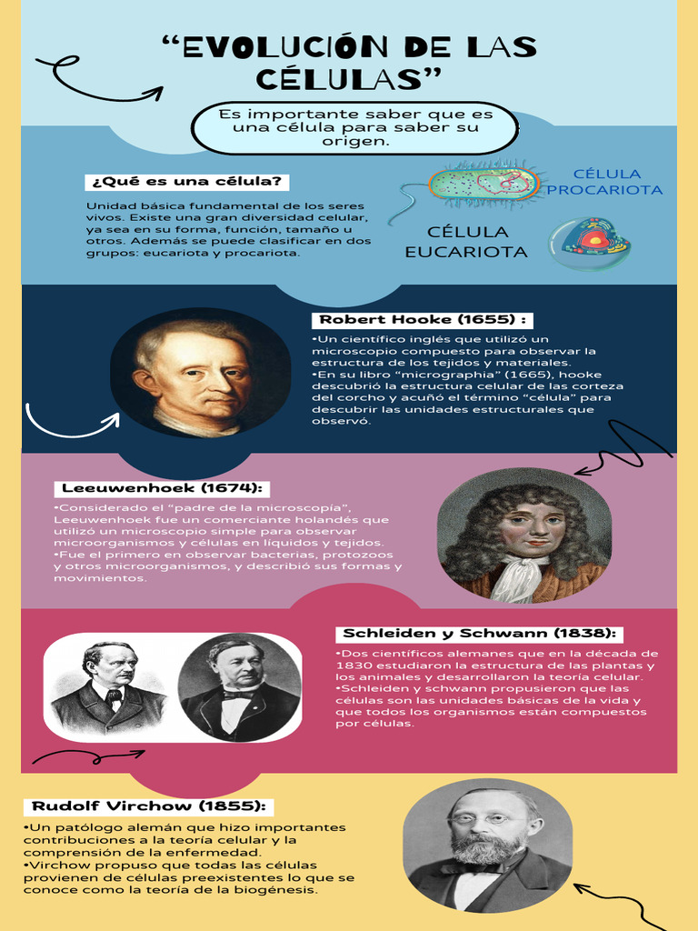 "Evolución de Las Células" - 20250601 - 182012 - 0000 | PDF | Biología ...