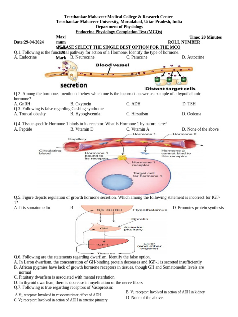 Endocrine Physiology MCQs and Test Guide | PDF | Endocrine System | Hormone