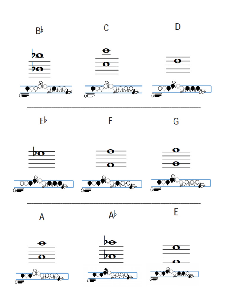 Beginnerfingerchartflute 1 | PDF