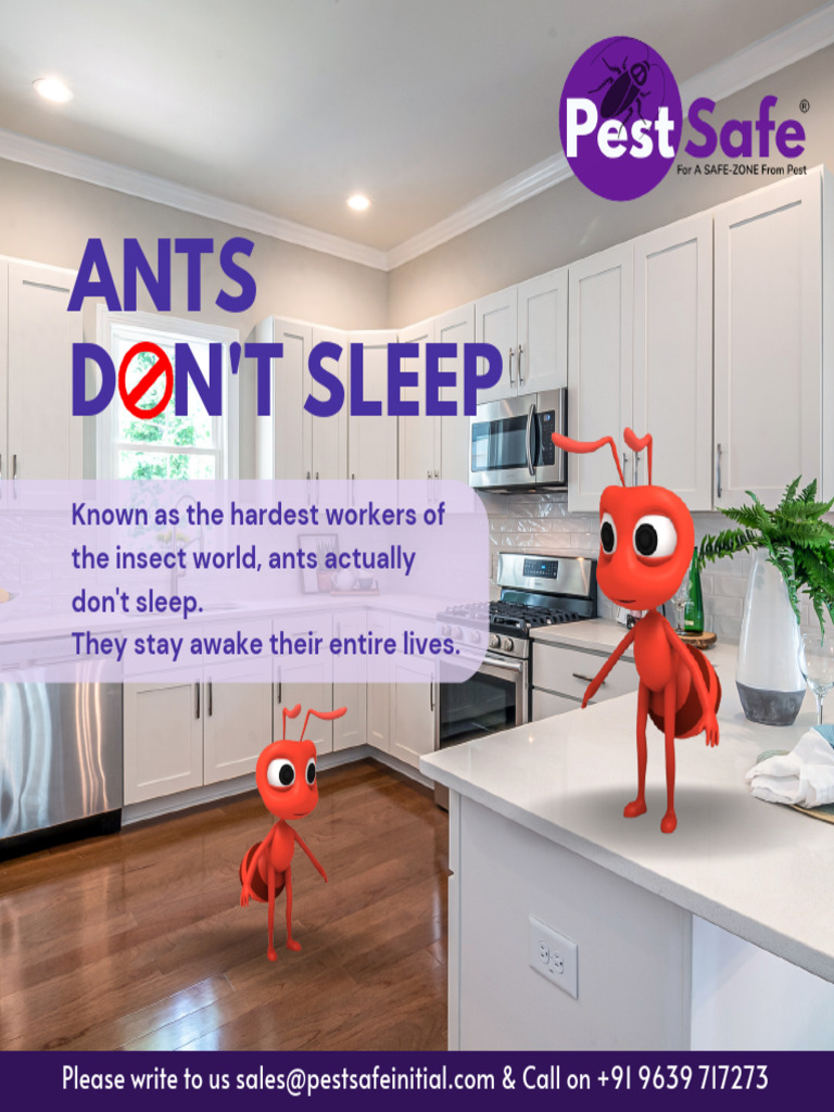 ANTs SAFE | PDF