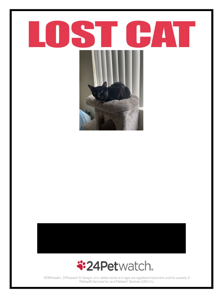 Lost Pet Poster | PDF