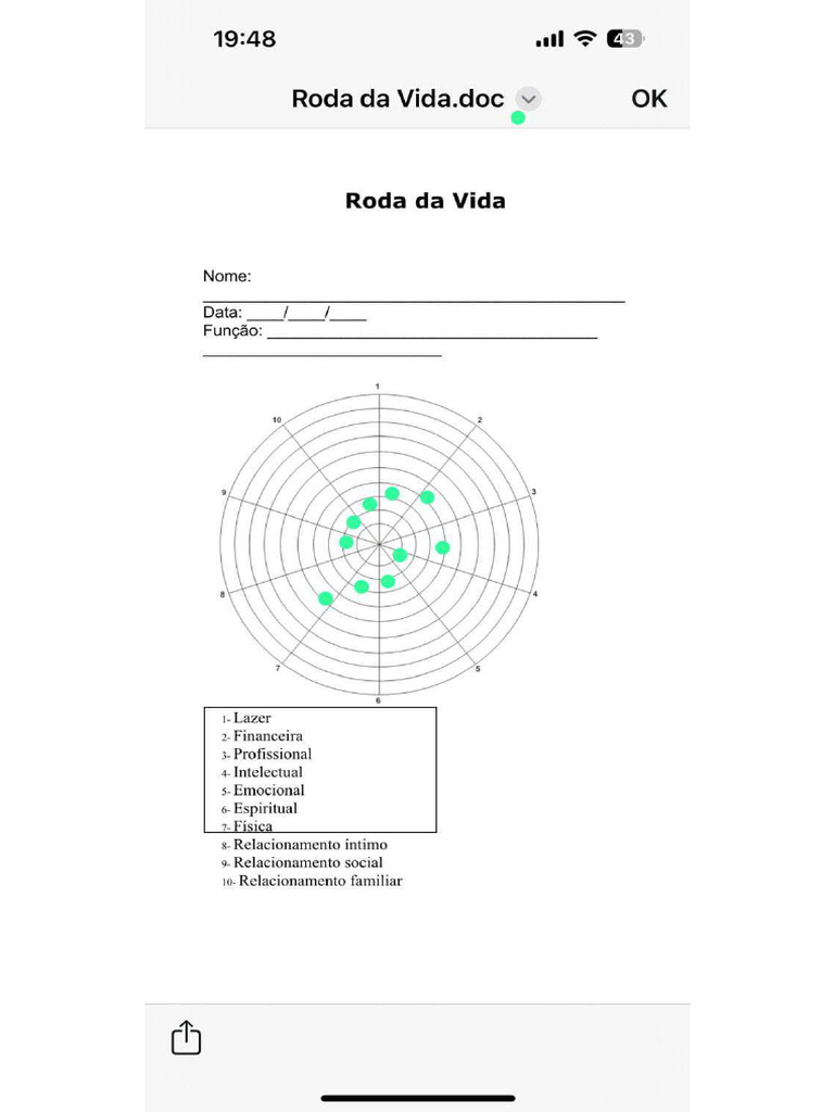 Roda Da Vida Preenchido | PDF