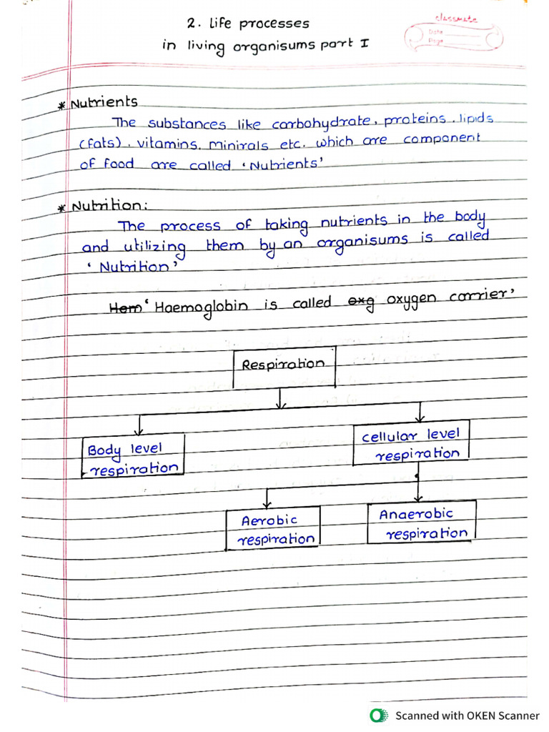 Life Process in Living Organisms Part 1 | PDF