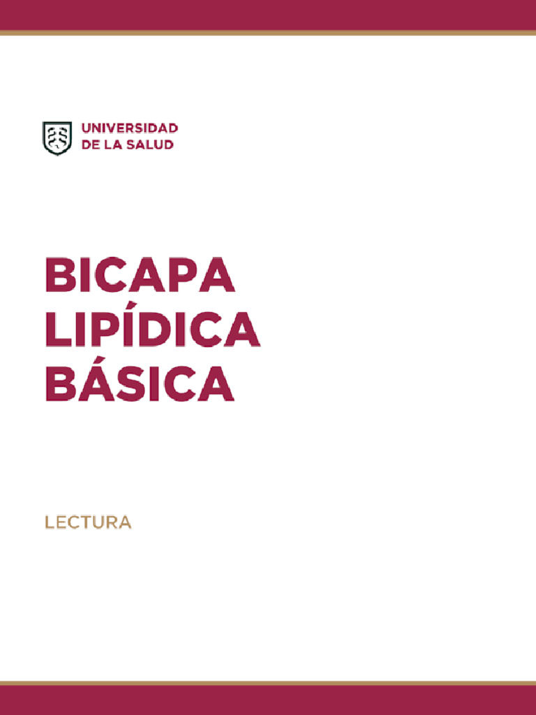 Pai M3 T2 L3 | PDF | Membrana celular | Bicapa lipídica