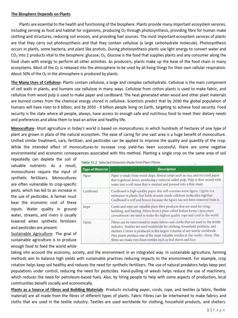 Grade 11-Plants - Docx - Anatomy, Growth and Function | PDF | Leaf ...