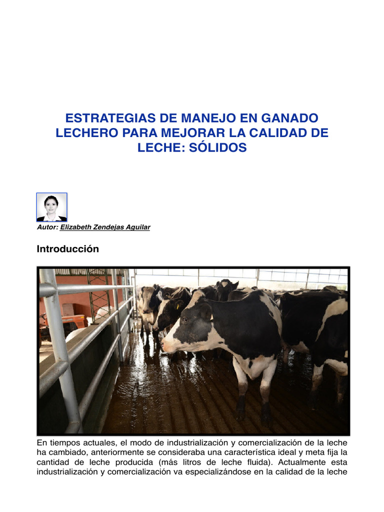 Estrategias de Manejo en Ganado Lechero para Mejorar La Calidad de Leche Solidos | PDF | Leche ...