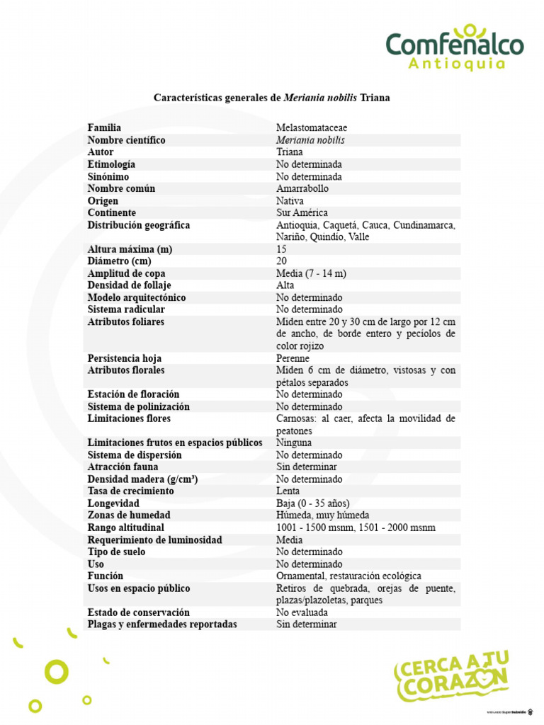 Meriania nobilis: Características y Usos | PDF | Bogotá | Botánica