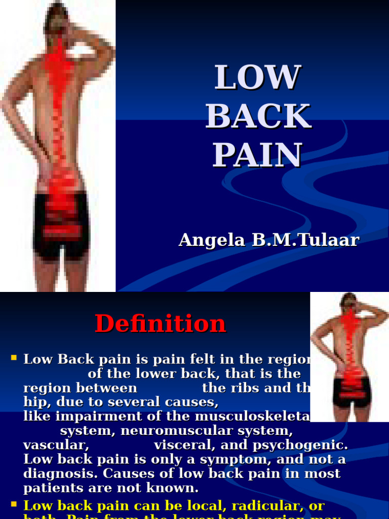 Low Back Pain: Causes and Symptoms | PDF | Vertebra | Vertebral Column