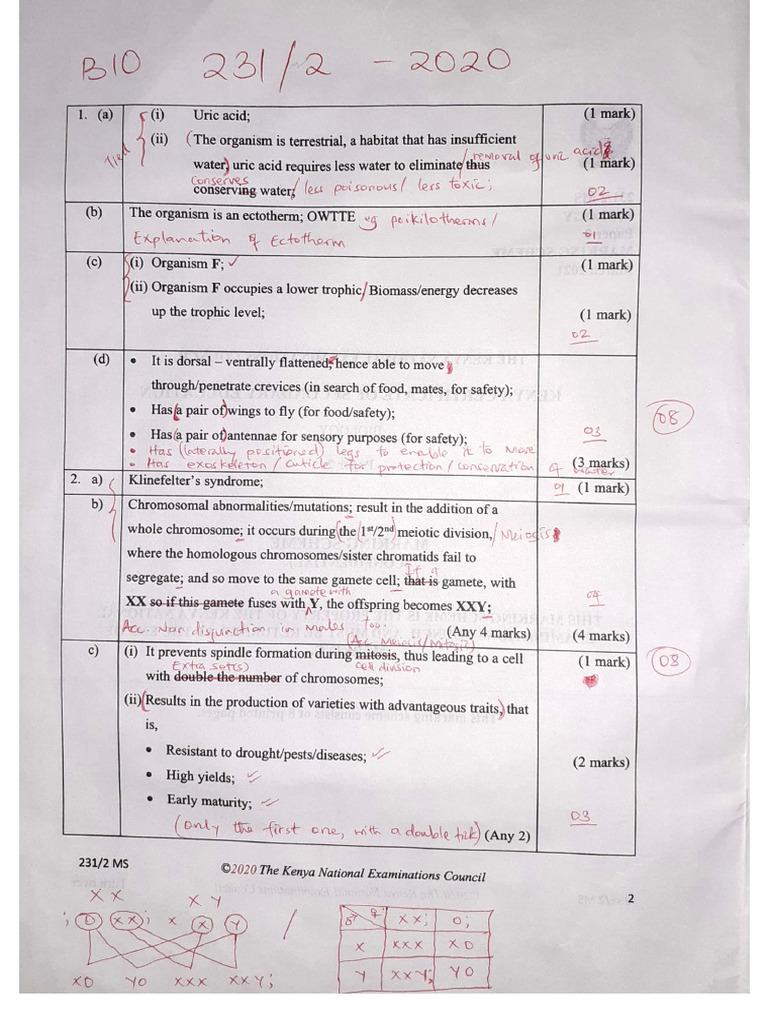 Biology Paper 1 Marking Scheme | PDF