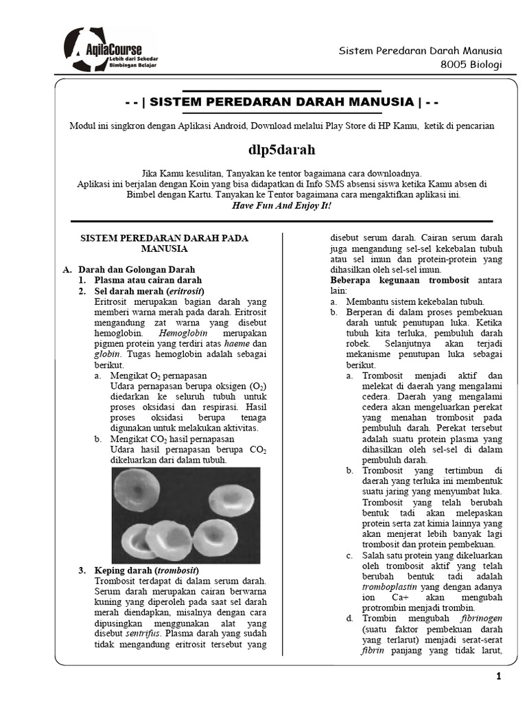 Modul Bimbel Kelas 8 KTSP 8005 Biologi Bab 5 Sistem Peredaran Darah Pada Manusia | PDF