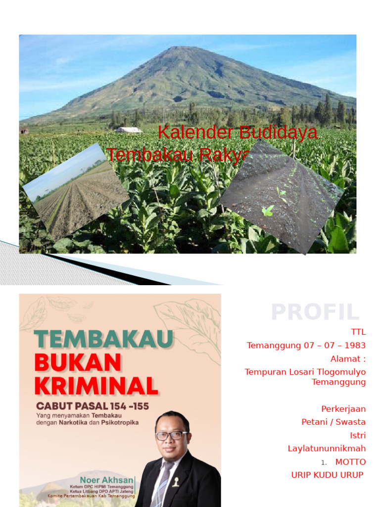 Kalender Tanam Tembakau NR 2025 | PDF