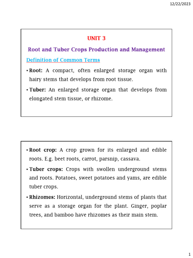 Root and Tuber Crop Management Guide | PDF | Potato | Root