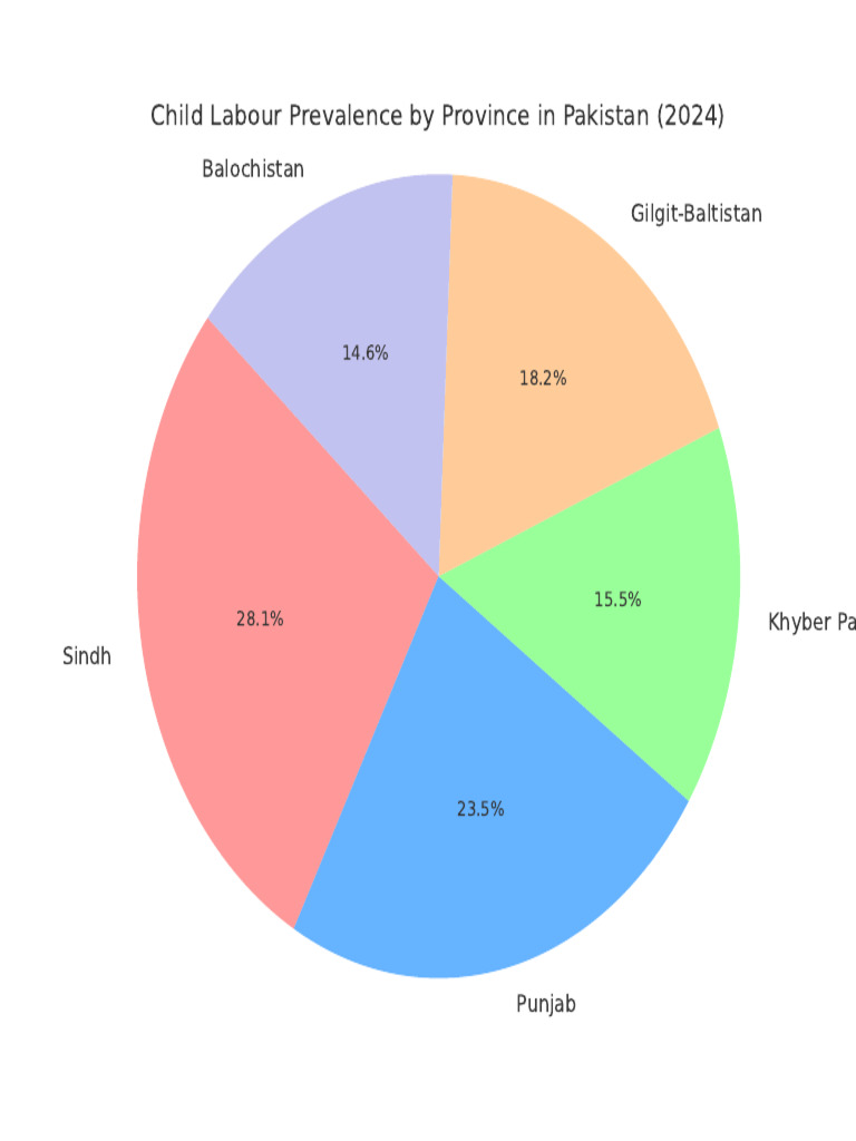 Child Labour Pie Chart Pakistan 2024 | PDF