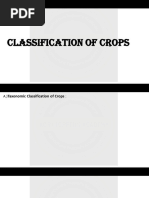 Agri601 50 Scientific Names of Crops. | PDF | Food Ingredients | Crops
