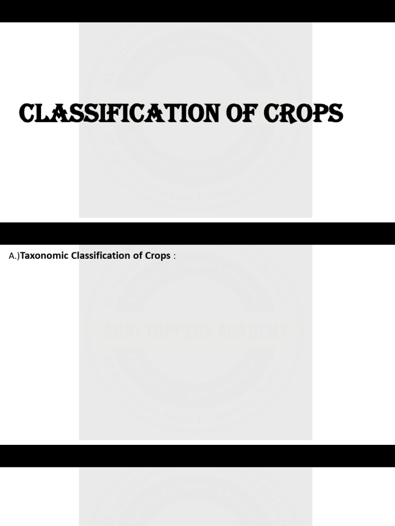 Classification of Crops | PDF | Crops | Cereals