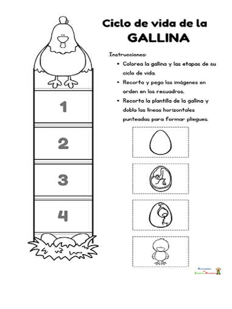 Ciclos de Vida | PDF