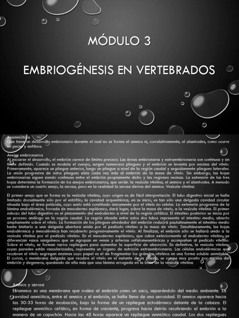 Embriogénesis en Vertebrados Anamnióticos | PDF | Placenta | Anatomía