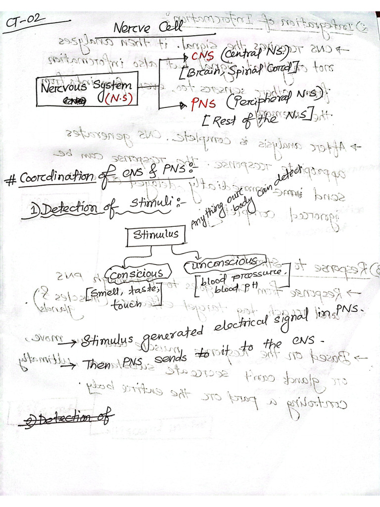 BME ct02 Efaz | PDF