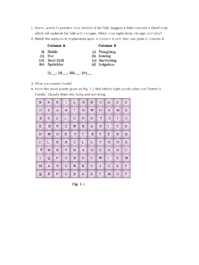 Selfstudys Com File | PDF