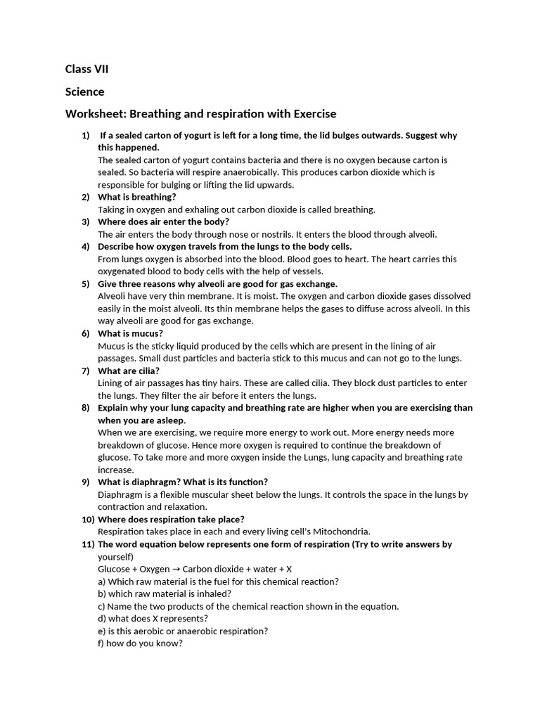 Breathing and Respiration Worksheet | PDF | Breathing | Cellular ...