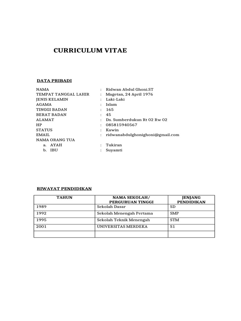 Contoh Format CV | PDF