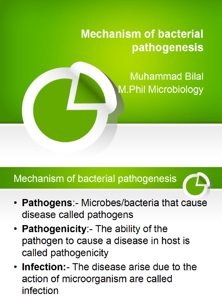 Bacterial Pathogensis 1701336911 | PDF