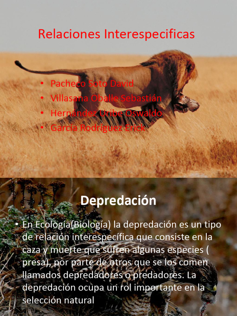 Relaciones Interespecificas | PDF | Depredación | Biología