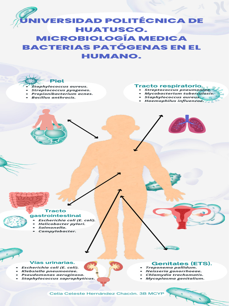 Infografía Biología Laboratorio - Compressed | PDF