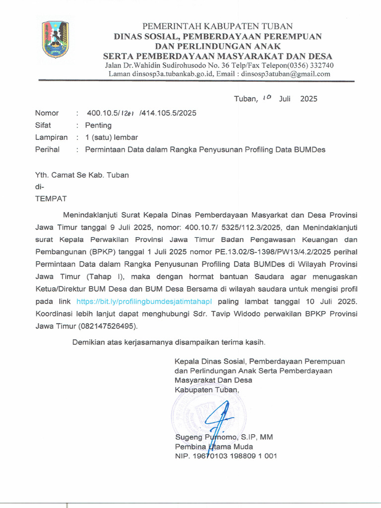 Profiling Data Bumdes | PDF
