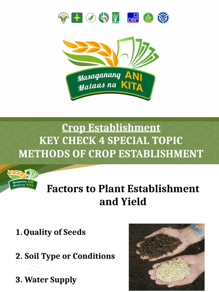 KeyCheck 4 Special Topic Methods of Crop Establishment | PDF | Sowing ...