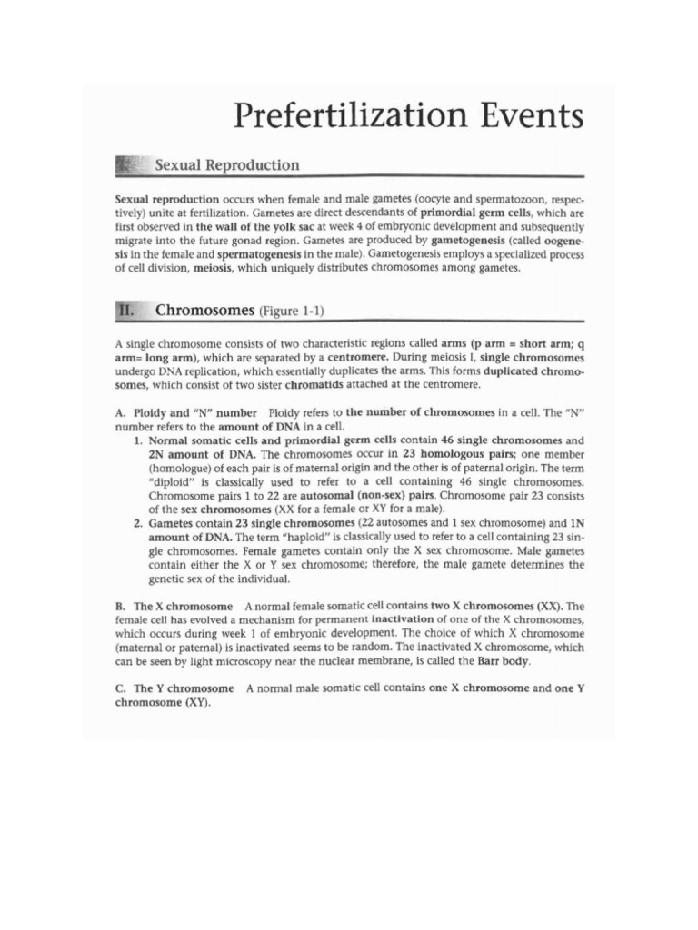 13.chromosomes and Pre-Fertilization Events | PDF
