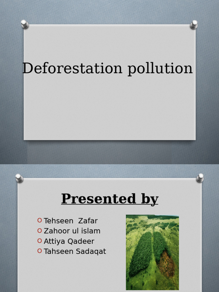 Deforestation Pollution Pdf Deforestation Soil