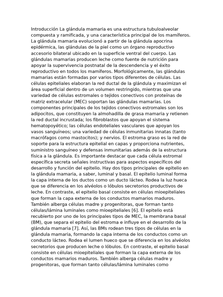 Desarrollo y Estructura de la Glándula Mamaria | PDF | Epitelio | Piel