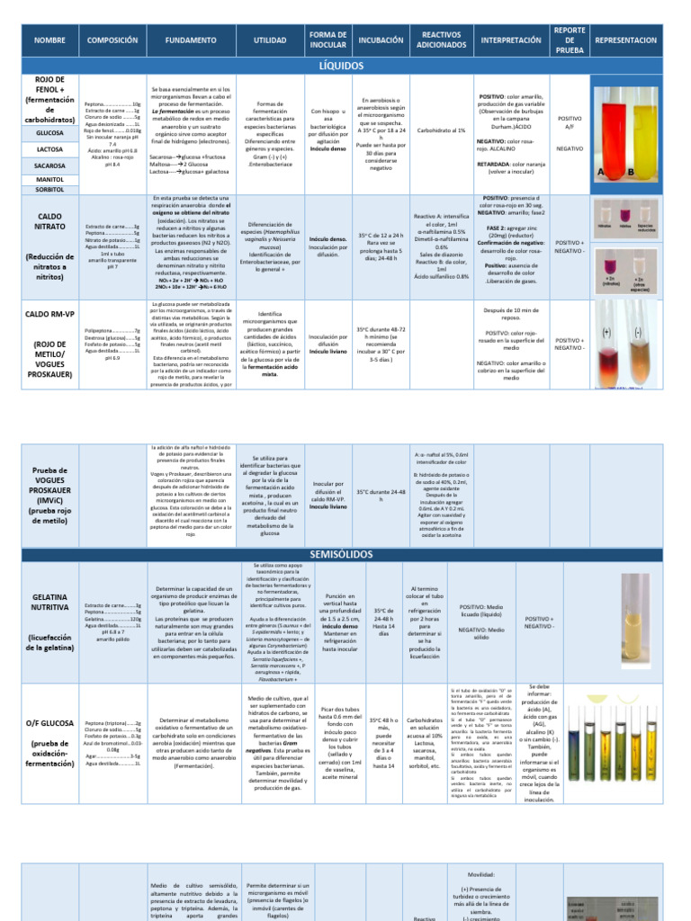 Tablas de Pruebas Bioquimicas Completa | PDF | Compuestos químicos | Sustancias químicas