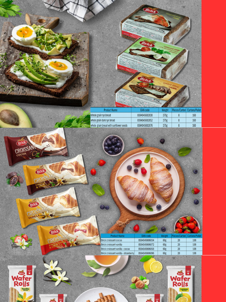 Brick - BP CTL ENG | PDF