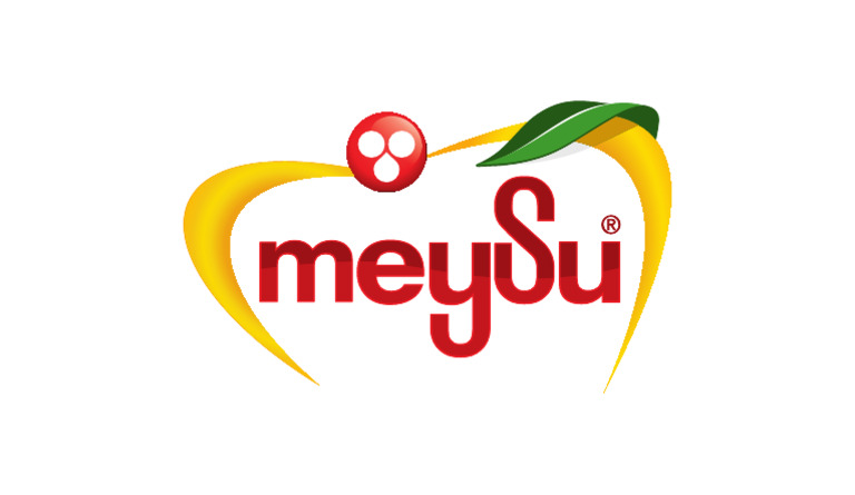 Meysu Logo Type | PDF