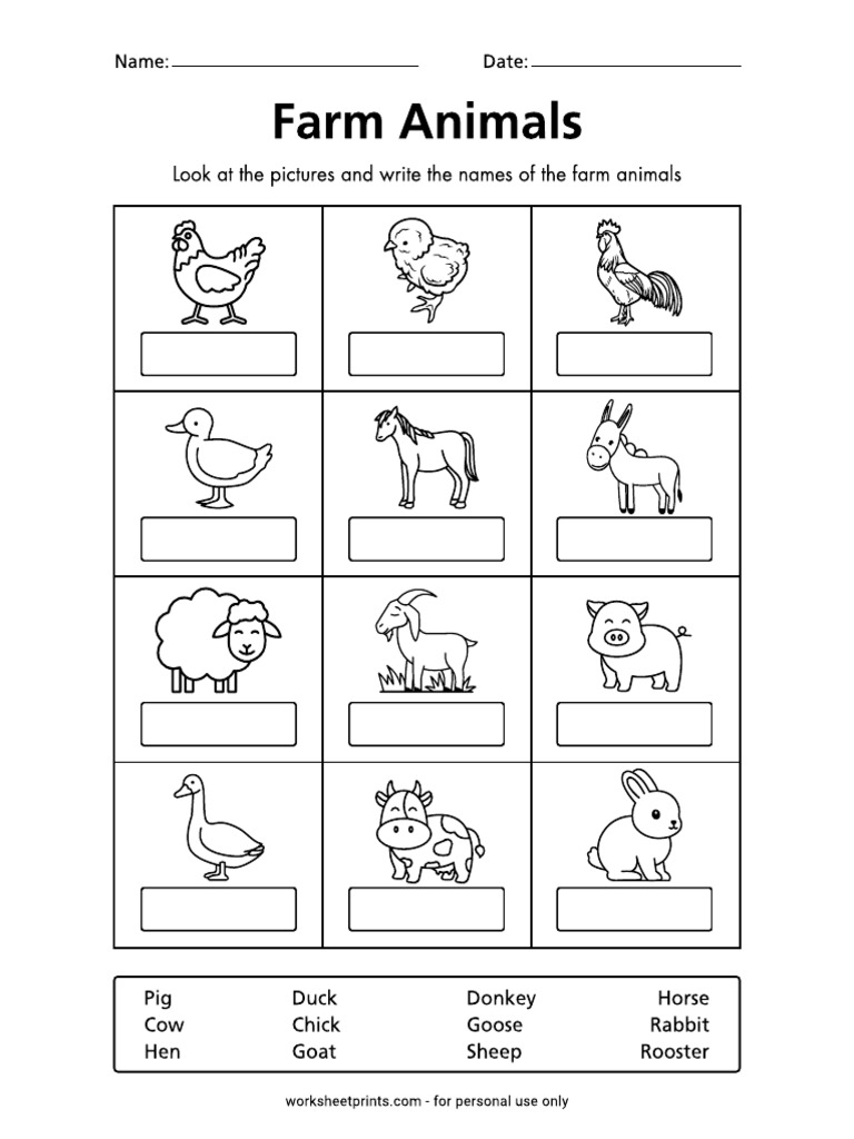 Farm Animal Names | PDF