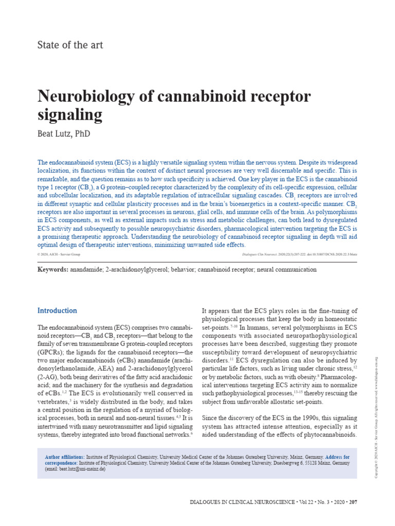 Neurobiology of Cannabinoid Receptor Signaling | PDF | Synapse ...