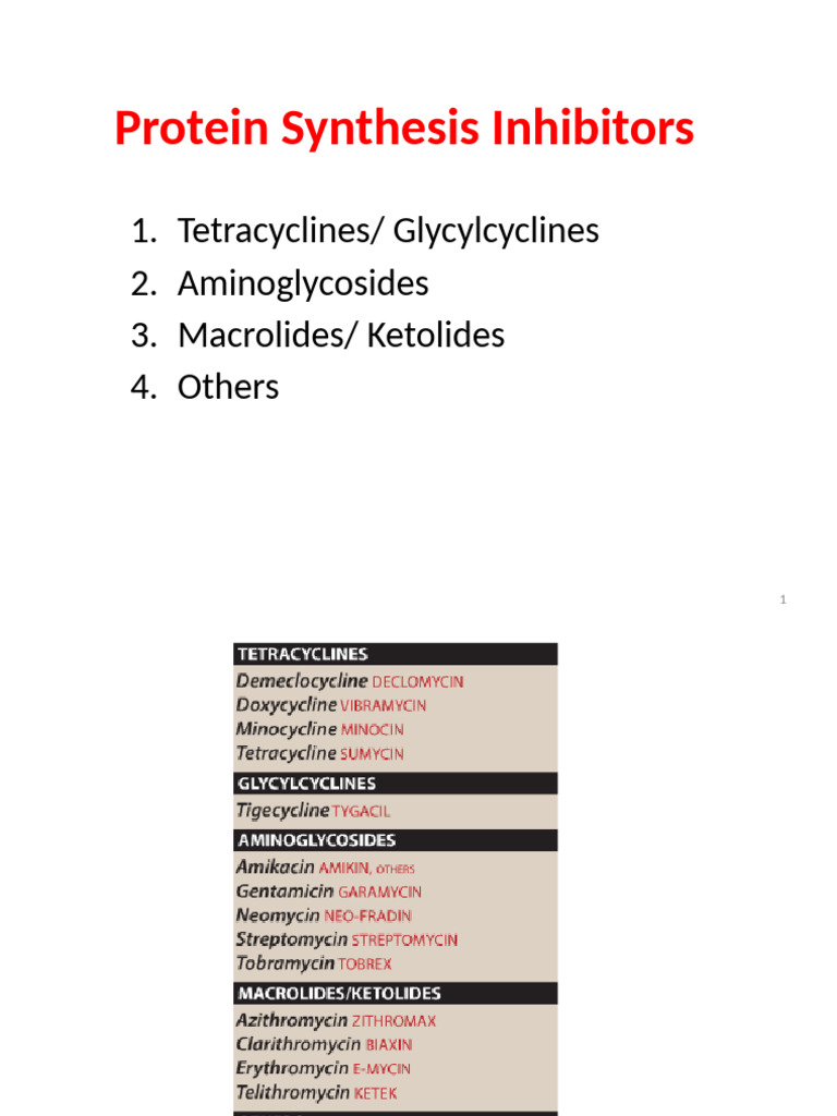 Overview of Protein Synthesis Inhibitors | PDF | Antibiotics