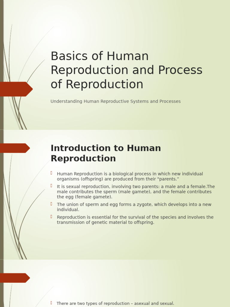 Basics of Human Reproduction and Process of Reproduction | PDF ...