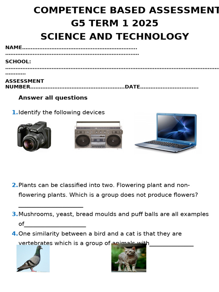 Grade 5 Science and Technology | PDF | Common Cold