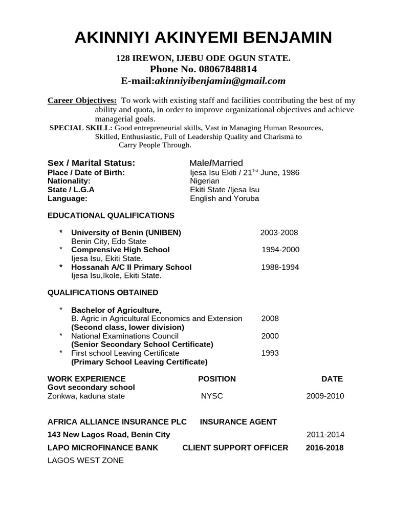 Akinniyi Akinyemi Benjamin CV | PDF | Social Psychology