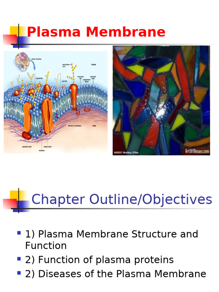 Plasma Membrane Structure and Diseases | PDF | Cell Membrane | Proteins
