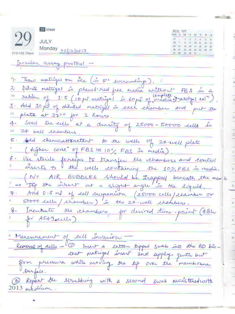 Cell Invasion Protocol | PDF