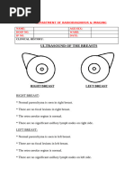 Breast Ultrasound Report Template | PDF