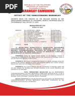 Barangay Vision and Mission Overview | PDF | Infrastructure | Economies