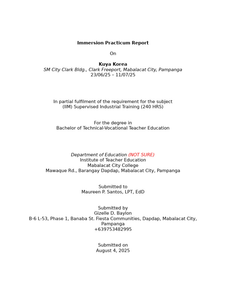 Immersion Practicum Report Tryy | PDF