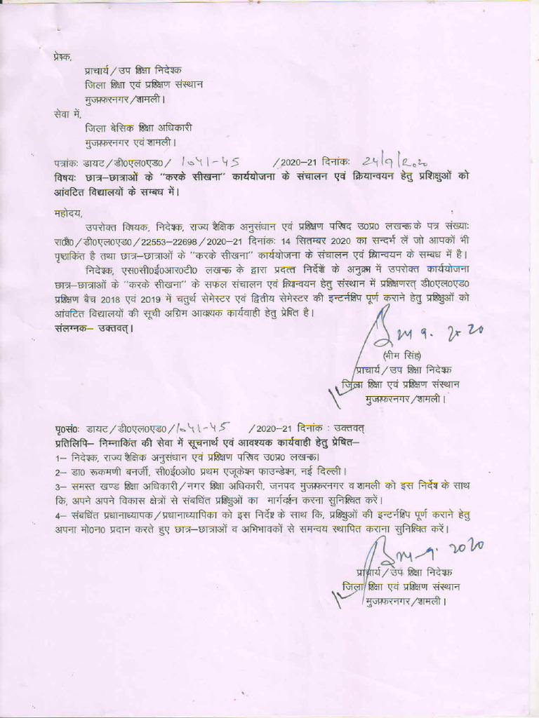 Learnning by Doing Online Intership | PDF